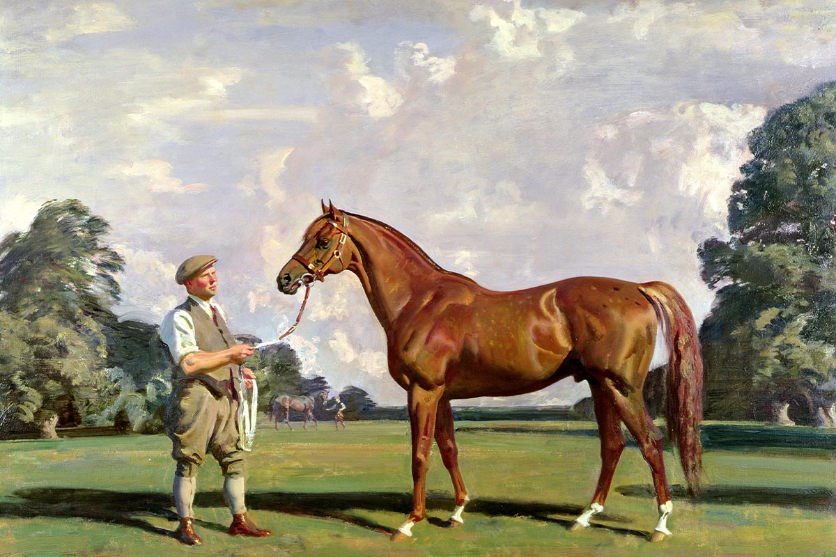 Stanley House Stud - Knowsley Hall